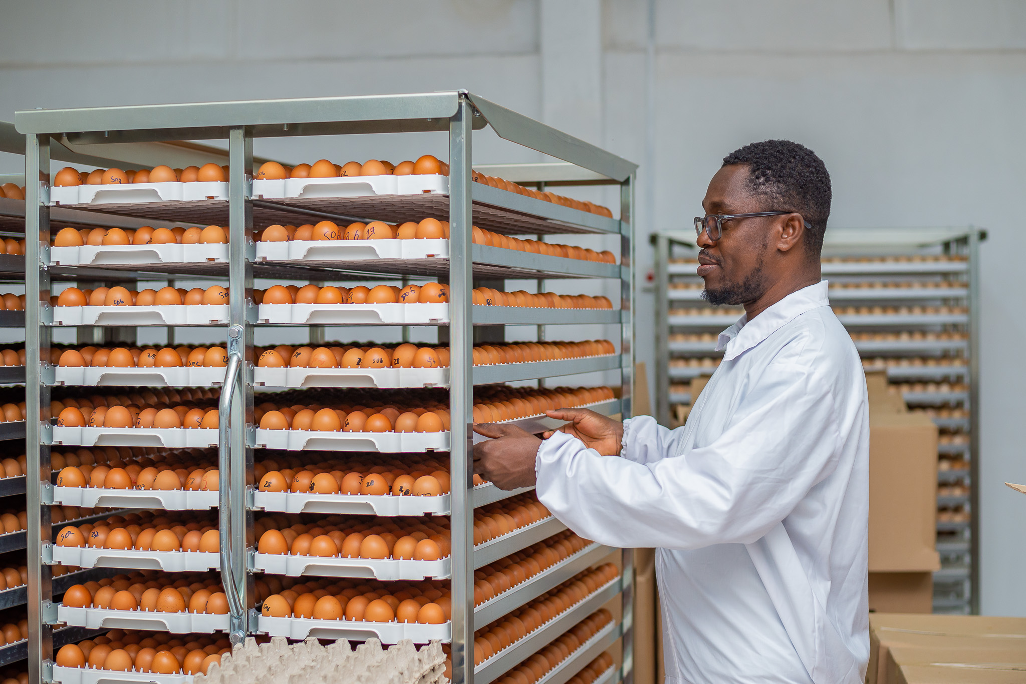 About Us – Premier Poultry